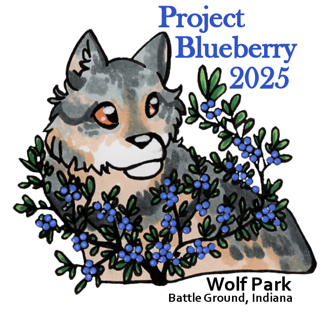Project Blueberry Sticker – Wolf Park