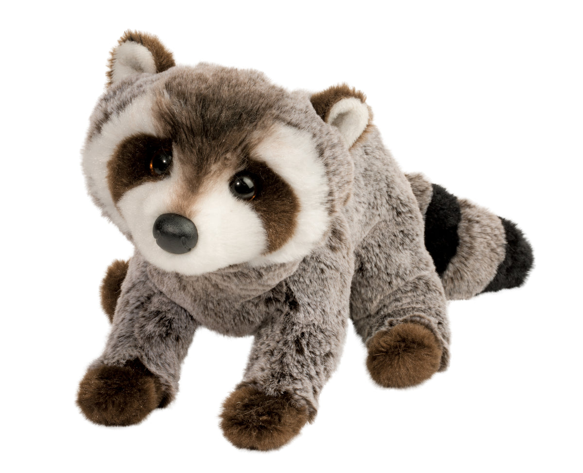 Ringo Raccoon – Wolf Park